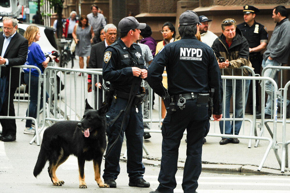 NYPD Looking For Crazed Rapper Trying To Grab Cops' Guns