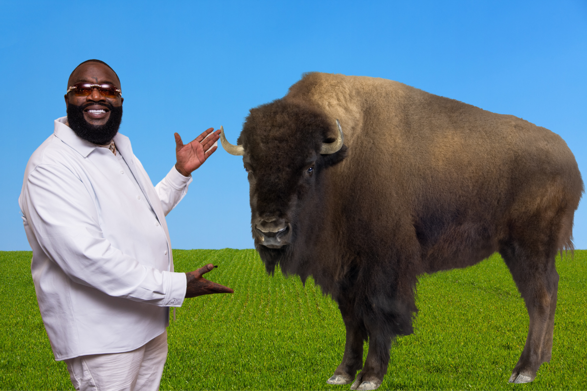 Rick Ross Says “Give It A Carrot” After Buffaloes Escaped Onto Neighbor ...